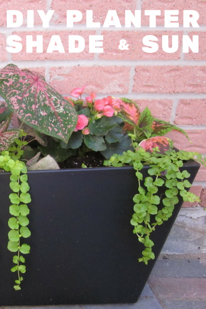 DIY Shade Sun Planter | TOTSFamily