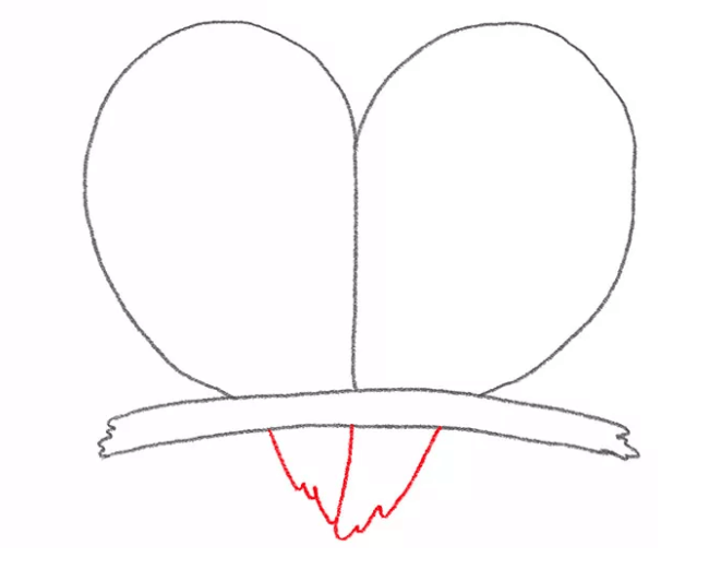 How to Draw Love Birds - 7 Easy Steps of Love Birds Drawing